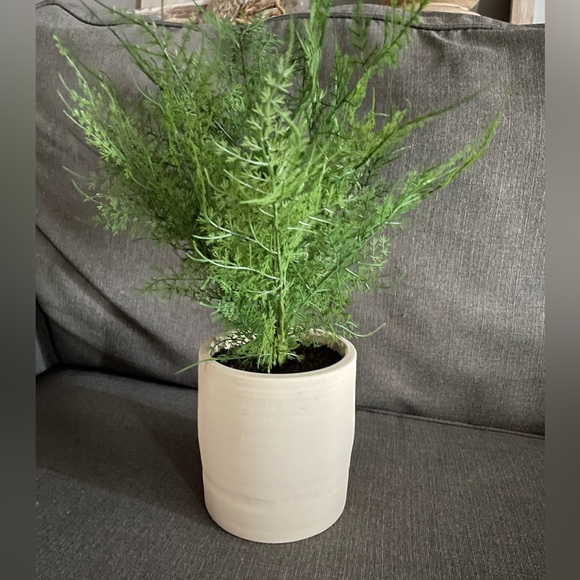 Target | Accents | Target Threshold Tabletop Arrangement Faux Fern ...